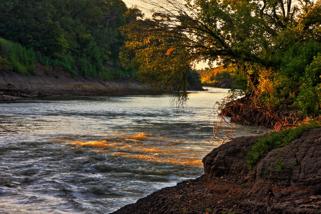 Book Talks & Walks – Wild DFW