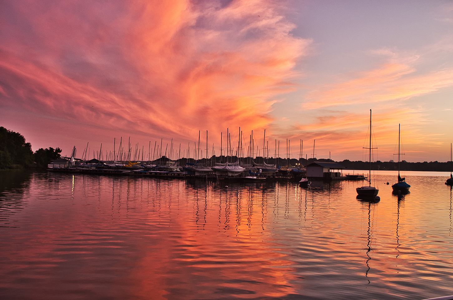 Book Talks & Walks – Wild DFW